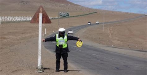 Ан амьтан гэнэт гарч ирж болзошгүй хэсгүүдэд анхааруулах ТЭМДЭГ байршуулав Discovery Mongolia