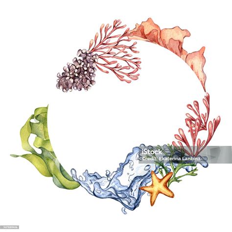 화려한 바다 식물과 물이 흰색으로 분리된 수채화 그림의 프레임 녹색에 대한 스톡 벡터 아트 및 기타 이미지 녹색 물이 튀는 분무 Istock