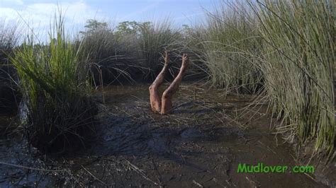 The Swamp The Messy Adventures Of John Marsh