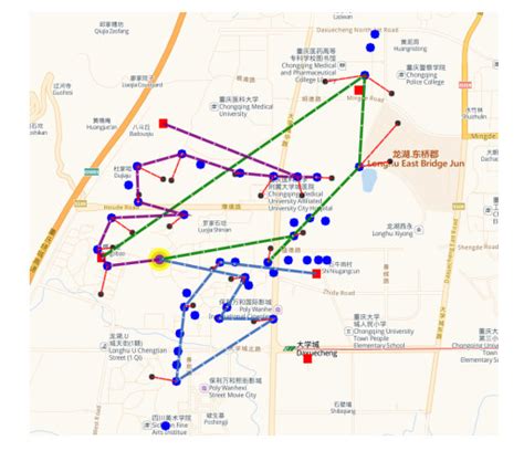 Novel Model For Integrated Demand Responsive Transit Service