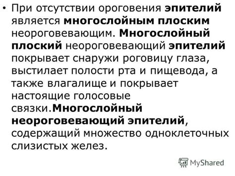 Презентация на тему Государственное бюджетное профессиональное