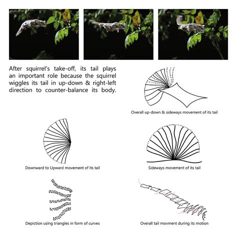 Into The Fractals Abstraction Tectonics Form Archidiaries