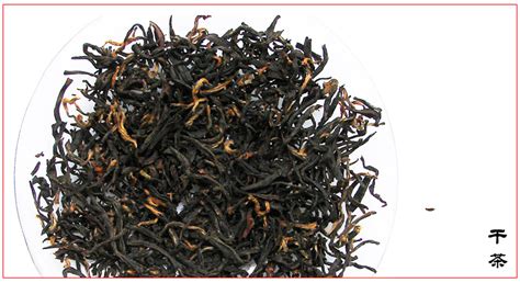 闽红工夫茶 闽红 第4页 大山谷图库