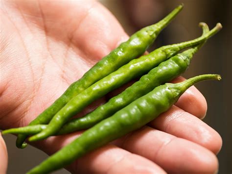 すっぱ辛い！ 青唐辛子ダレの冷やし中華レシピ 三越伊勢丹の食メディア Foodie（フーディー）