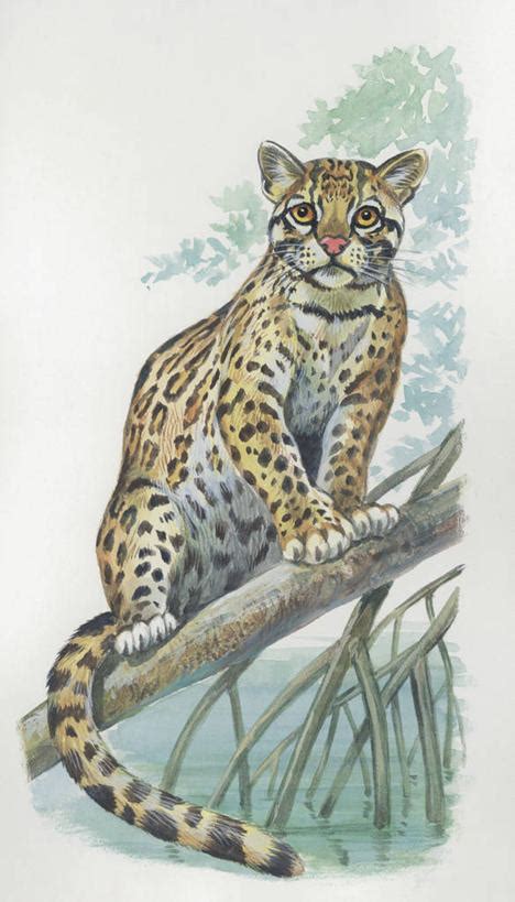无人坐竖图插画室外特写白天数码科技森林水植物哺乳动物猫野生动物阴影科学网络枝高光几何计算机图形合成