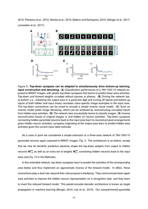 Dendritic Error Backpropagation In Deep Cortical Microcircuits Deepai
