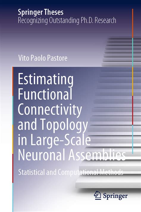 Estimating Functional Connectivity And Topology In Large Scale Neuronal Assemblies E Book