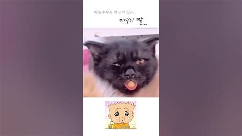 바나나 먹는 기영이 아닙니다 Youtube