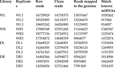 The Alfalfa Srna Sequencing Datasets Statistics Of Small Rna Sequences