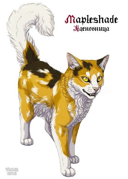 Art КВ Кленовница ╔ Коты Воители Племя Затуманенных Лесов╗ ВКонтакте