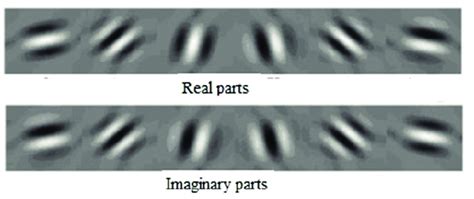 These Are Impulse Responses Of 2 D Complex Wavelet Filters Download