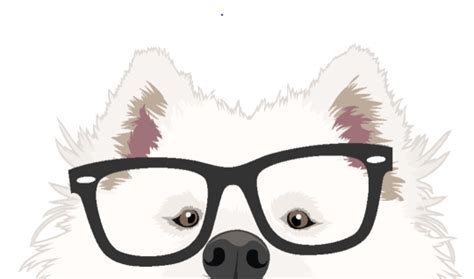 AP Programs Marco Learning