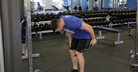 Cable Tricep Kickback