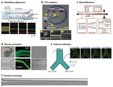 Inertial Focusing In Microfluidics Pmc
