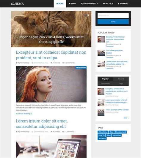 Schema Fast Seo Wordpress Theme