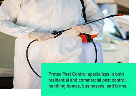 Protec Pest Control Pest Removal Annapolis Valley Guaranteed Pest Control For Your Home Or