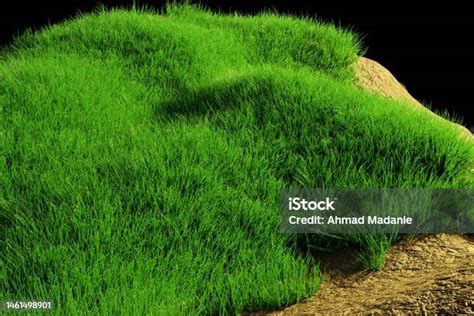 푸른 잔디 현실적인 자연 초원 디자인 등 밝은 3d 그림 렌더링 무성한 푸른 잔디 초원 배경 신선한 푸른 잔디 0명에 대한 스톡 사진 및 기타 이미지 Istock