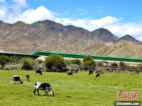 青藏集团公司2024年发送旅客和进藏列车开行数均创新高西宁铁路方向