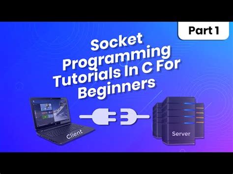 BCSL IGNOU BCA Th Sem Tutorial Network Programming IGNOU BCA Complete Guide For