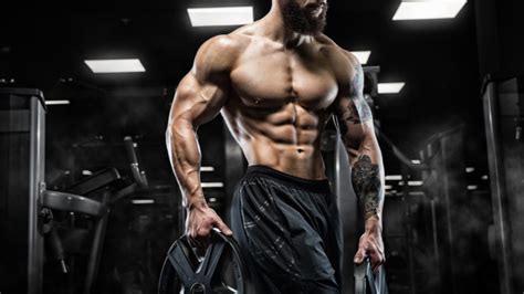 Bodybuilding For Beginners Your Ultimate Guide For Getting Started In