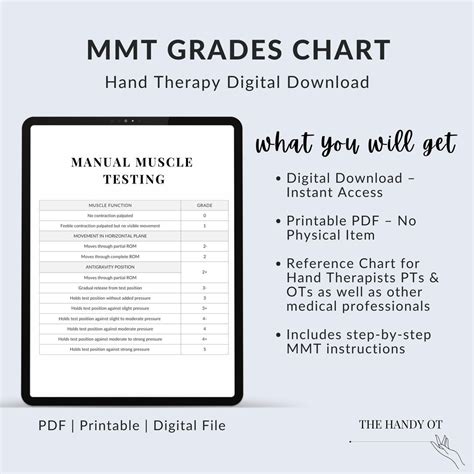 Manual Muscle Testing Mmt Chart Occupational And Physical Therapy Reference Guide Digital