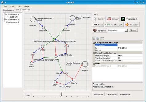µcell Cell Model Editor Editing An Imported Sbml Model Download Scientific Diagram