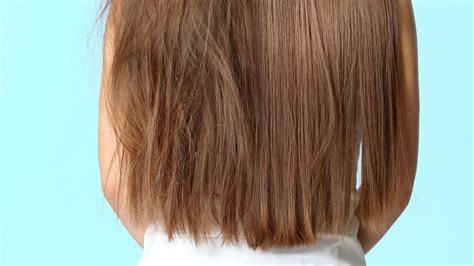 From Greasy Roots To Frizzy Ends Dealing With Oily Scalp And Dry Hair