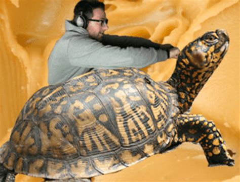 Top 8 Appium Mobile Automation Mistakes To Avoid Testguild