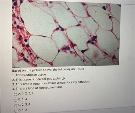 Solved Based On The Picture Above The Following Are TRUE Chegg