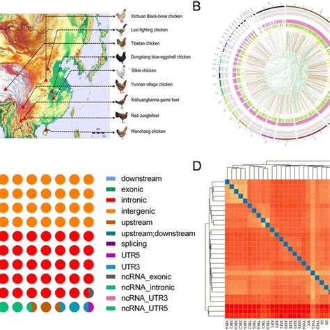 Experimental Design And Variant Statistics A Geographical Origins Of