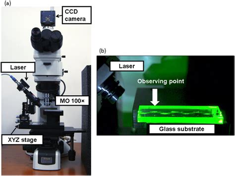 Photographs Of The Holographic System A The System For Recording The Download Scientific