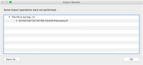 Whats The Largest Image Size You Can Import Into Lightroom Classic