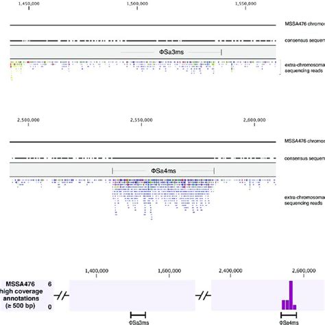 Read Mapping And Coverage Analysis Of Mssa476 Extra Chromosomal Dna