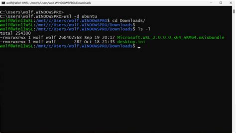 Wsl Start Linux Apps In Windows And Windows Apps In Linux Access Ext4
