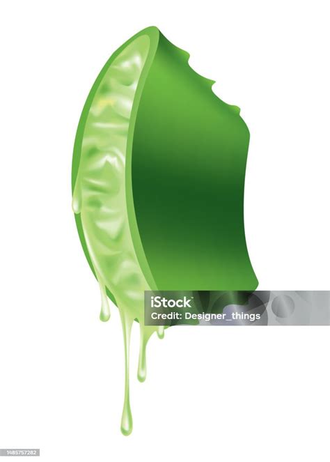 알로에 베라 현실적인 녹색 식물 흰색 배경에 격리 된 신선한 주스 방울로 나뭇잎과 조각을 잘라냅니다 화장품 광고 또는 배너 포스터 디자인에 아이콘 사용 0명에 대한 스톡