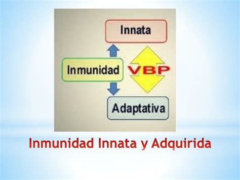 File Luis Eduardo UDocz