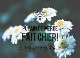 à l aidse bug Ascom avec port COM Matériel astrophotographique Webastro