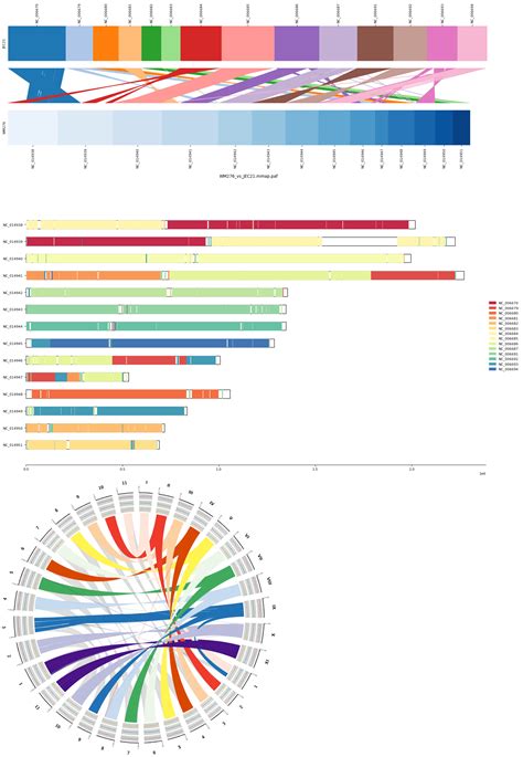 Awesome Genome Visualization