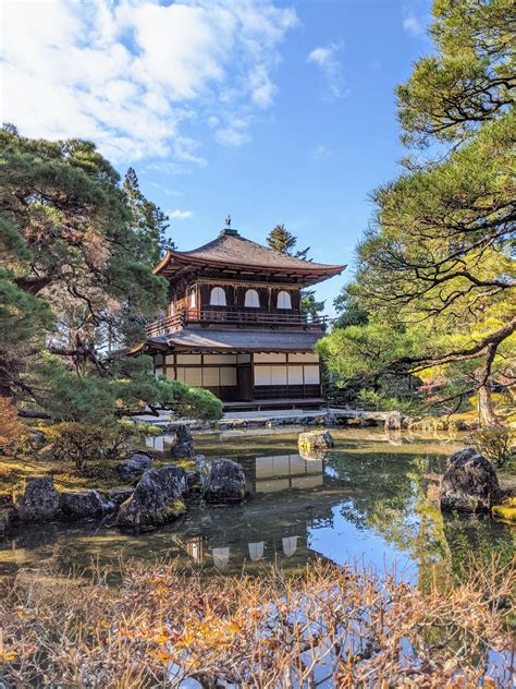 Height Balanced Binary Search Tree — Jason Coelho