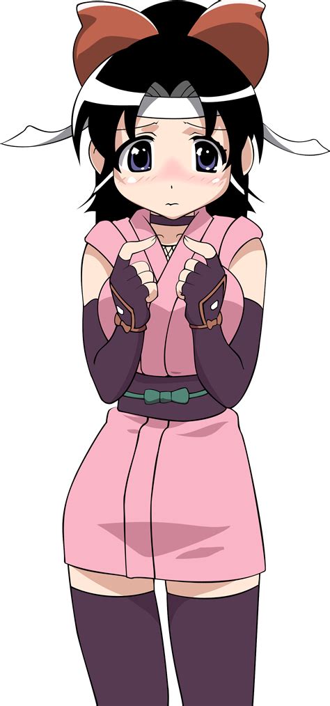Shinobu Ninin Ga Shinobuden Danbooru