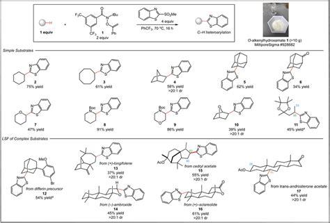 Ch Heteroarylation Of Diverse Substrates Using Download Scientific Diagram