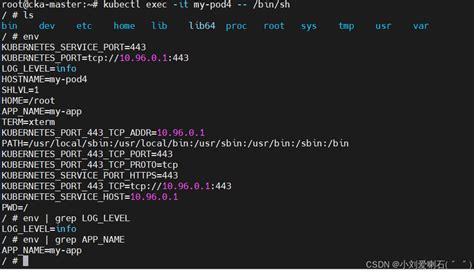 K8s存储介绍（一）configmap Csdn博客