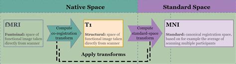 Ants Afni配准fmri到标准空间 Shishuochs Blog