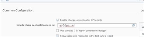 Release 2310 Faster Sap Pi Test Case Creation Figaf