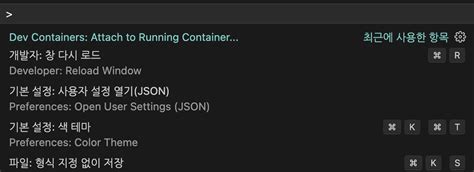 정보 docker container vscode로 접근하기