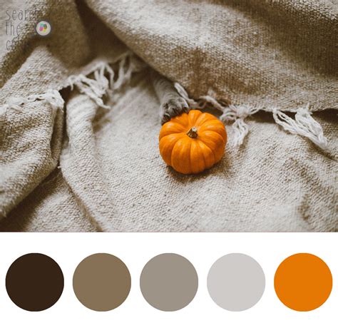 Unity Search The Color