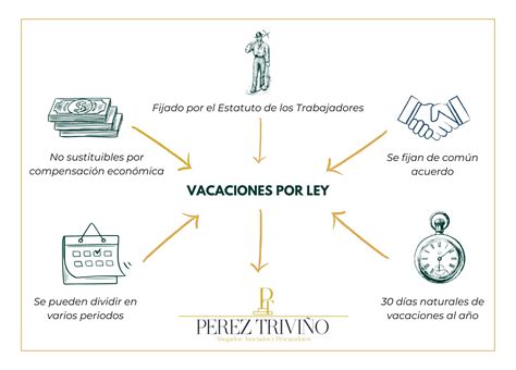 Procuradores En Murcia Funciones Importancia Y Beneficios En Procesos