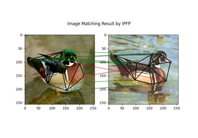 Examples Gallery Pygmtools Documentation