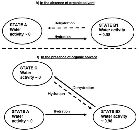 Schematic Representation Of The Conformational Rearrangements On The