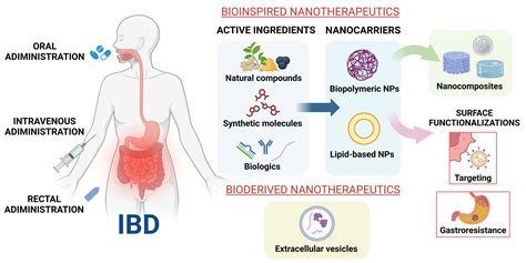 Wires Nanomedicine And Nanobiotechnology Wiley Online Library